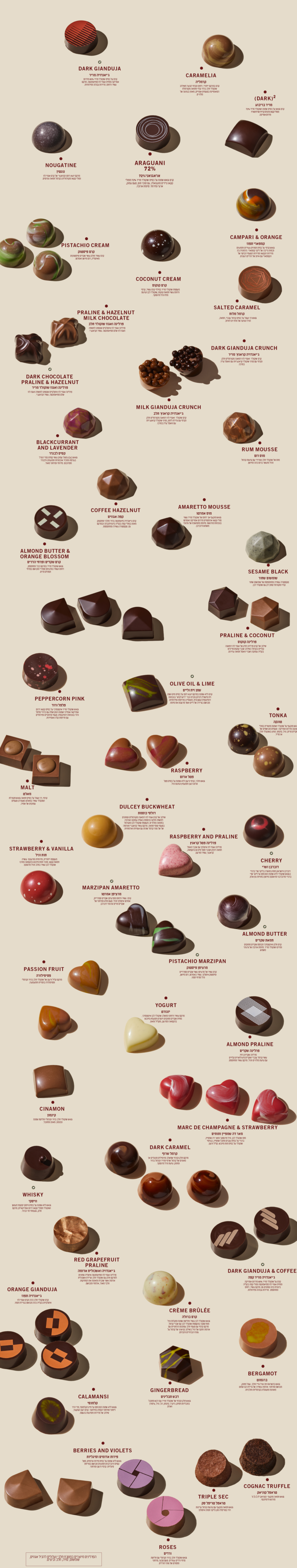 הפרלינים שלנו | cardinal chocolate